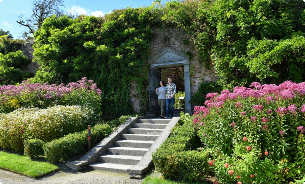 Experience Waterford – Visit Waterford