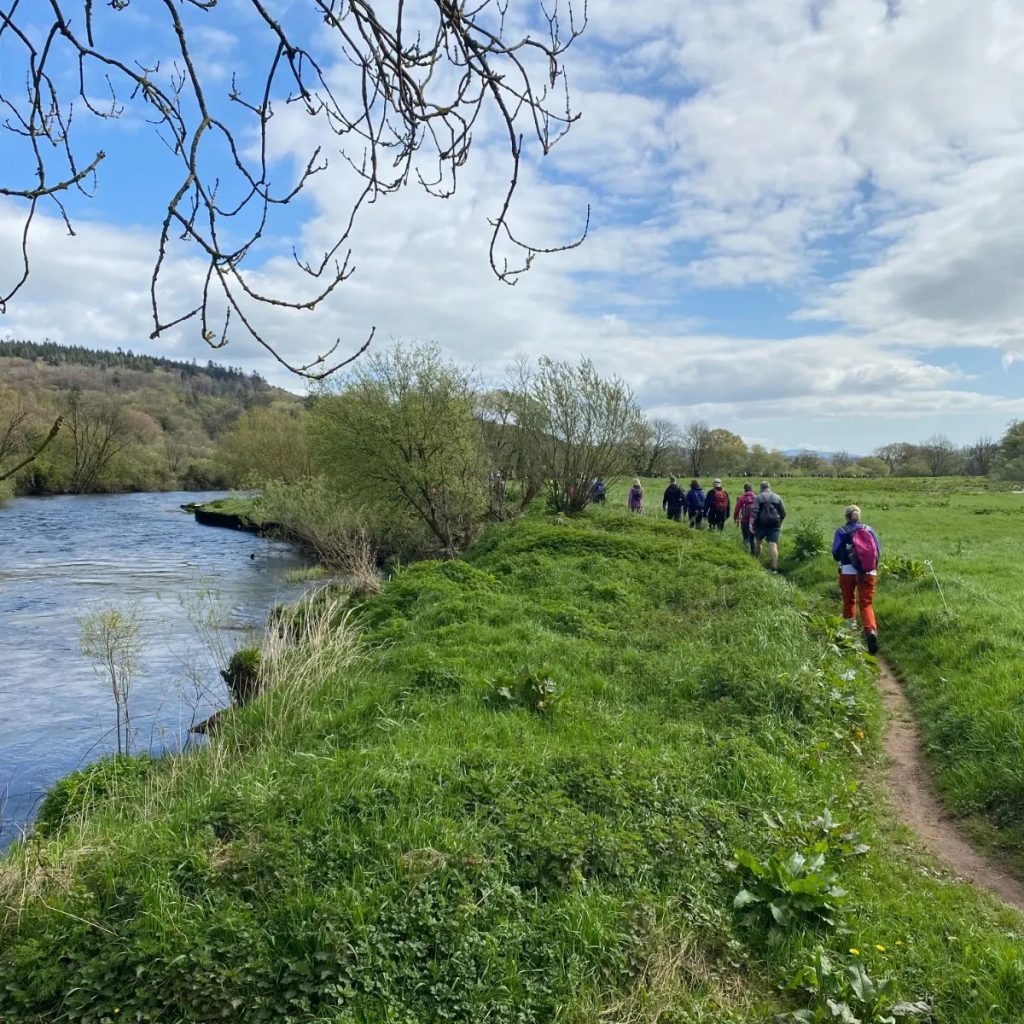 Visit Waterford – Start Your Journey Where Ireland Begins
