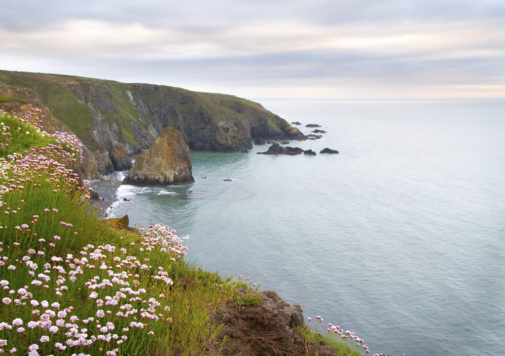 Explore the Copper Coast – A Journey Through Rugged Cliffs, Hidden ...