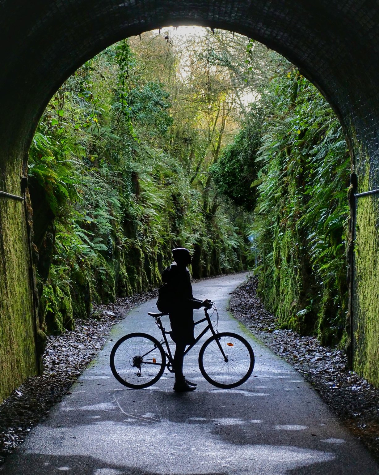 Experience Waterford – Visit Waterford