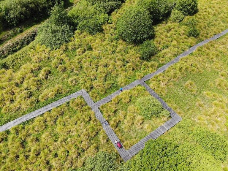 Fenor Bog Walk – Visit Waterford