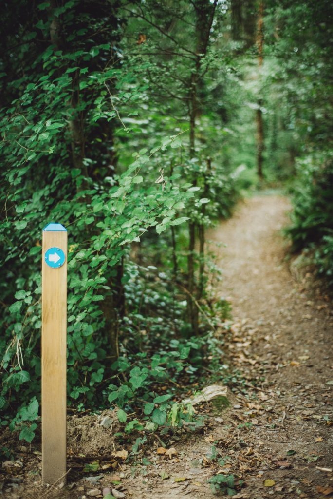 Walking, Hiking & Trails – Visit Waterford