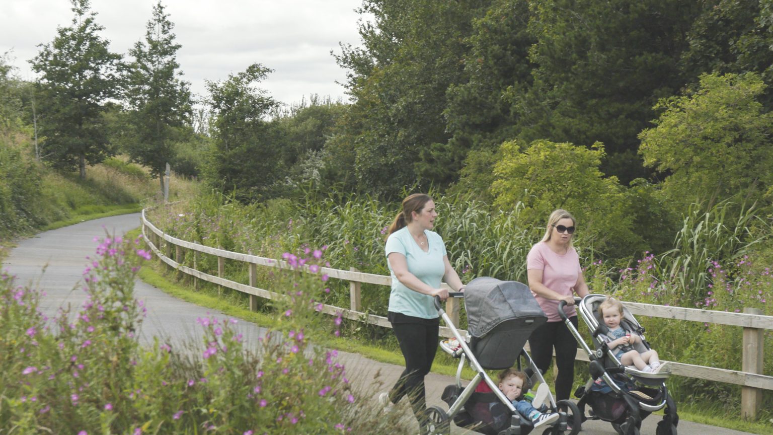Walking, Hiking & Trails – Visit Waterford