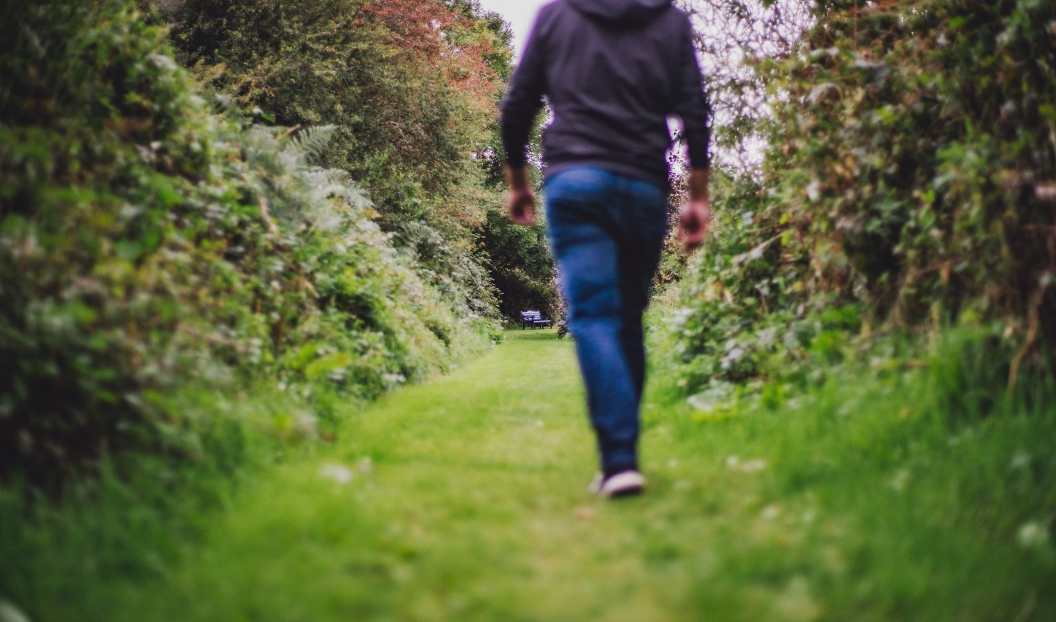 Walking, Hiking & Trails – Visit Waterford