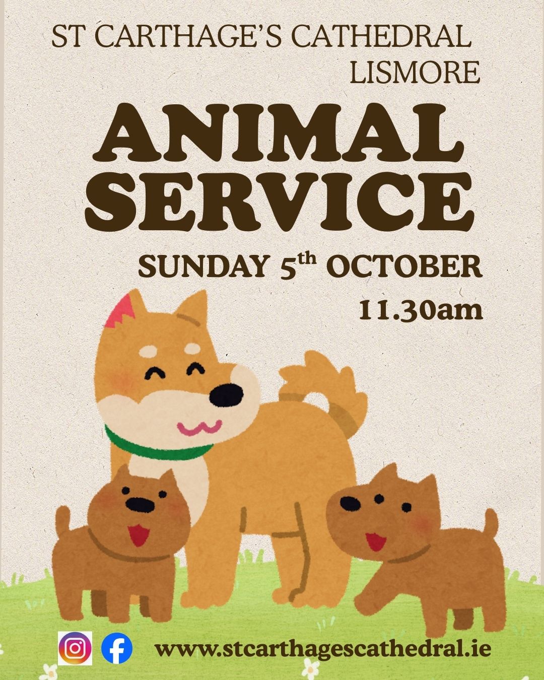 Animal Service at St Carthage’s Cathedral – Visit Waterford