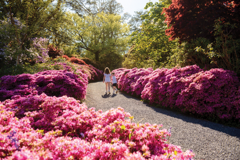 The Top 5 Things To Do in Waterford – Visit Waterford